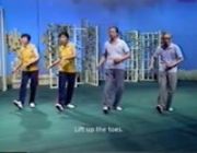 Fixed Step Exercise (Continuation)